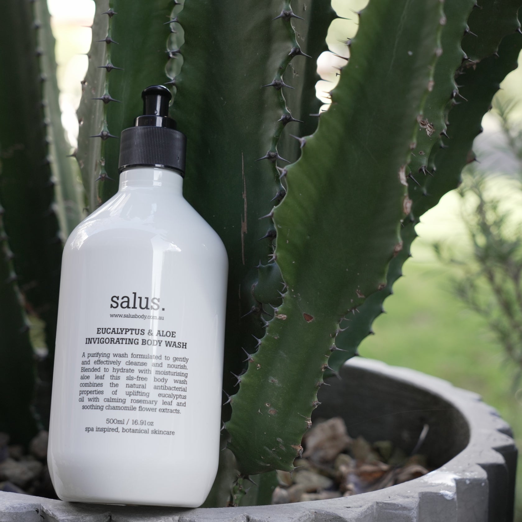 Body Wash, Eucalyptus & Aloe – 6 Pack – Salus Body